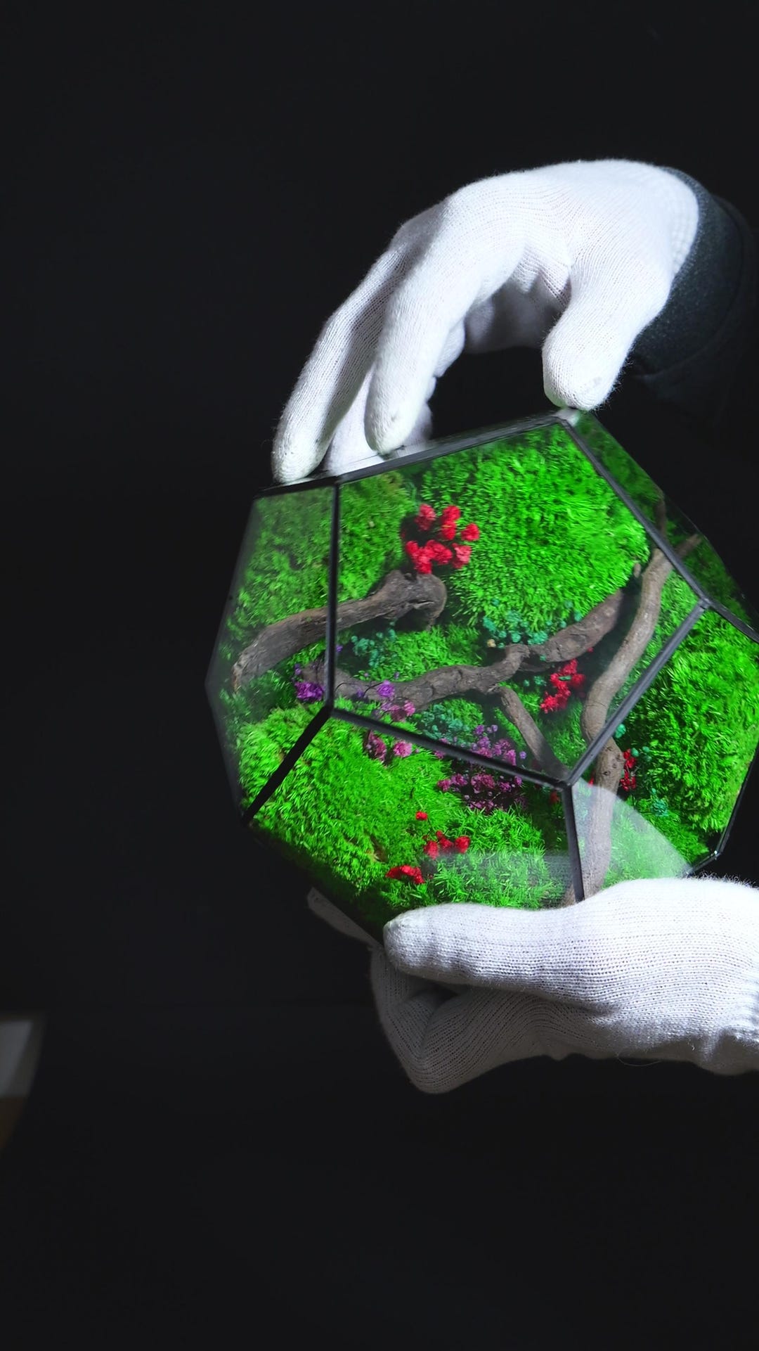 Irregular Spherical Prism Terrarium With Preserved Moss – Sculptural ...