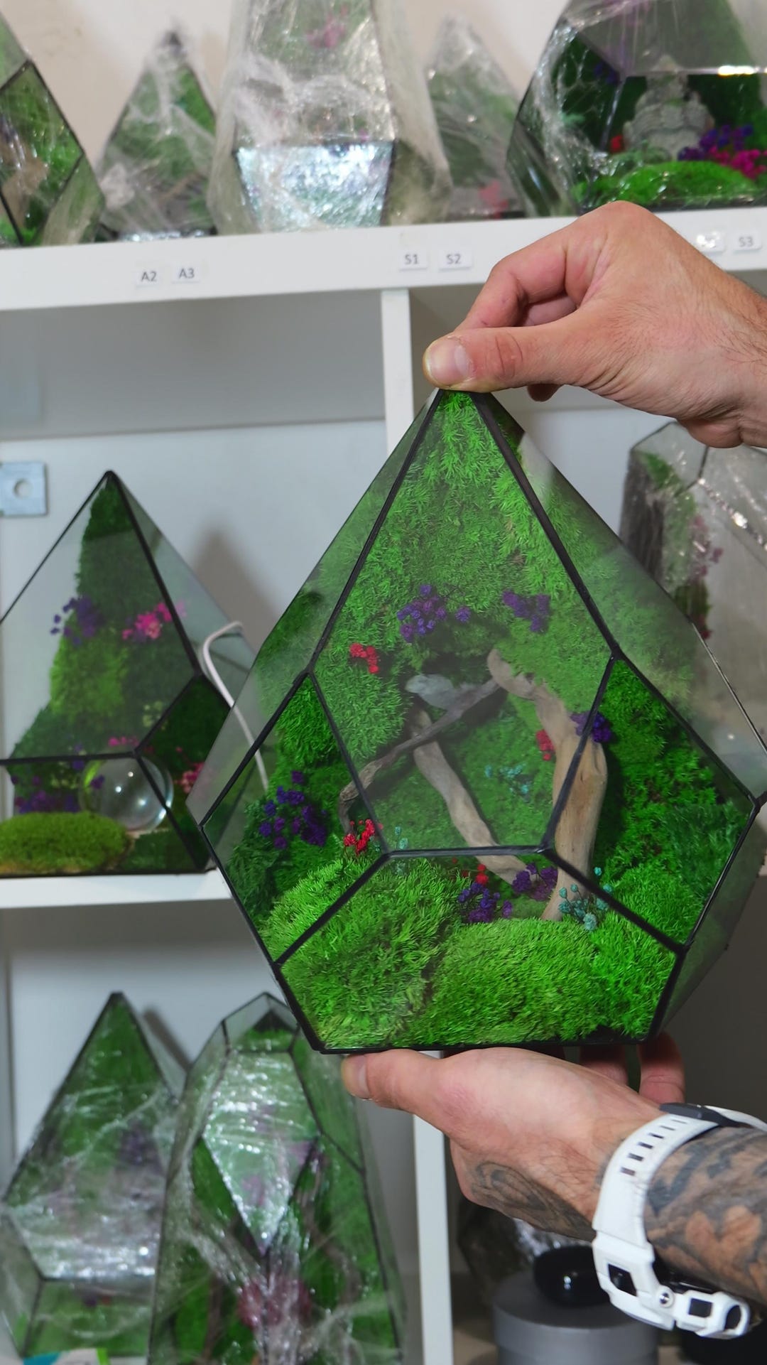 Terrarium Preserved Moss Wall Decoration – Natural Green Wall Art With ...