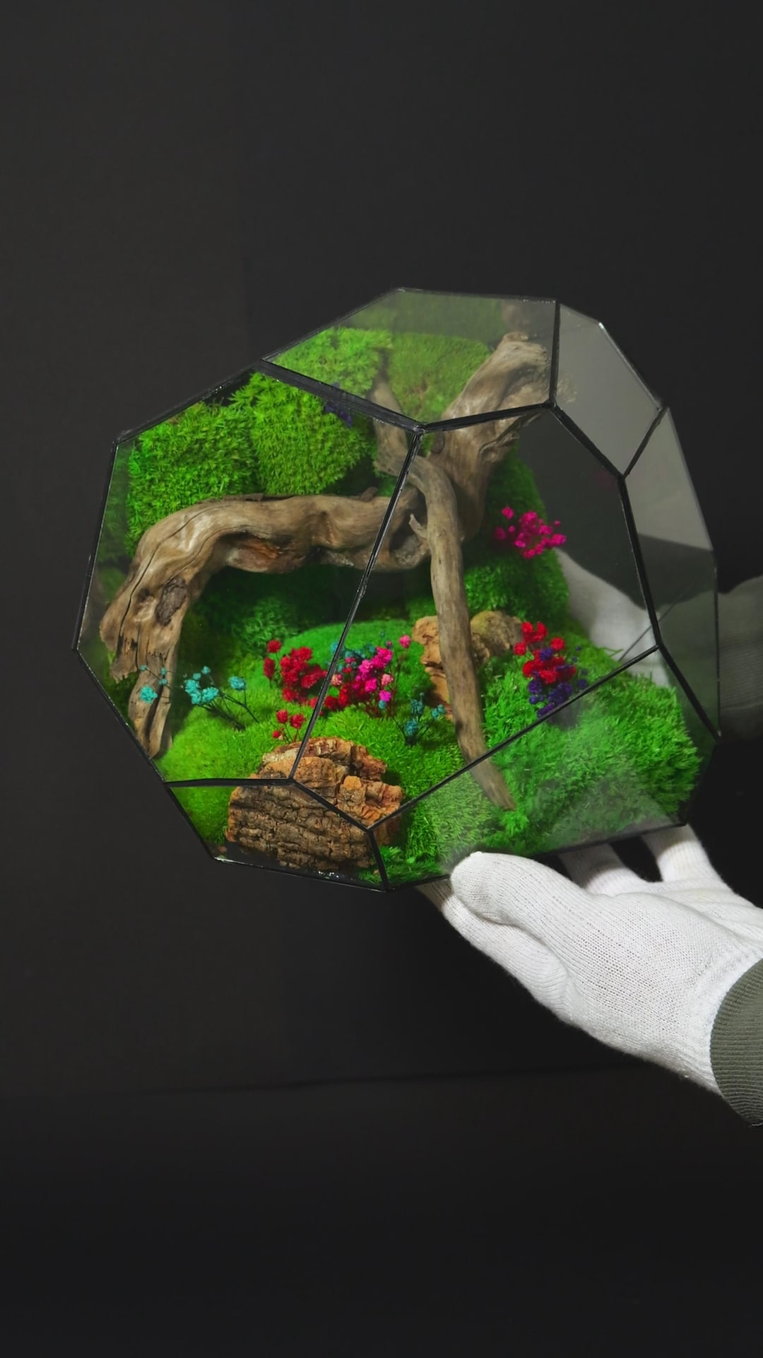 Limited Edition Prism Terrarium With Natural Branches – No Maintenance ...