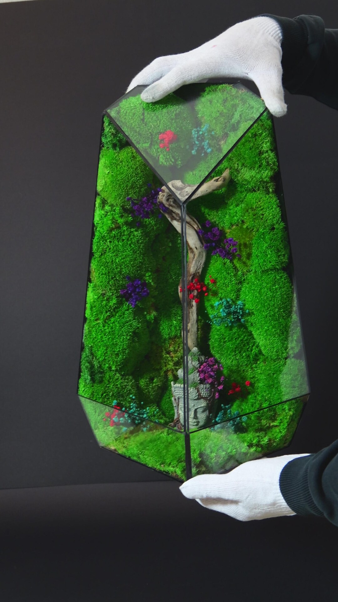 Giant Prism Terrarium – Limited Edition Zen Design – No Maintenance ...