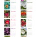 Monthly Calendar - Floral - Etsy