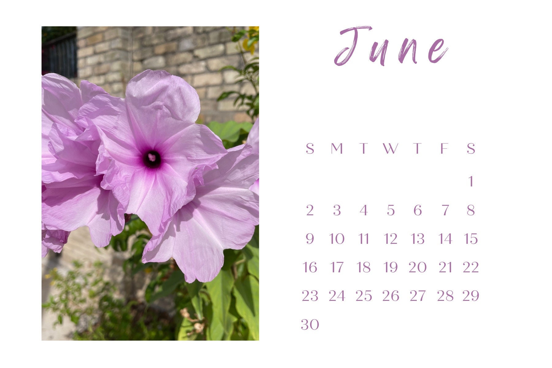 Monthly Calendar - Floral - Etsy