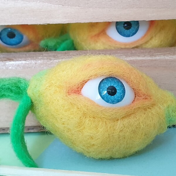 Lemon With Eye - Etsy