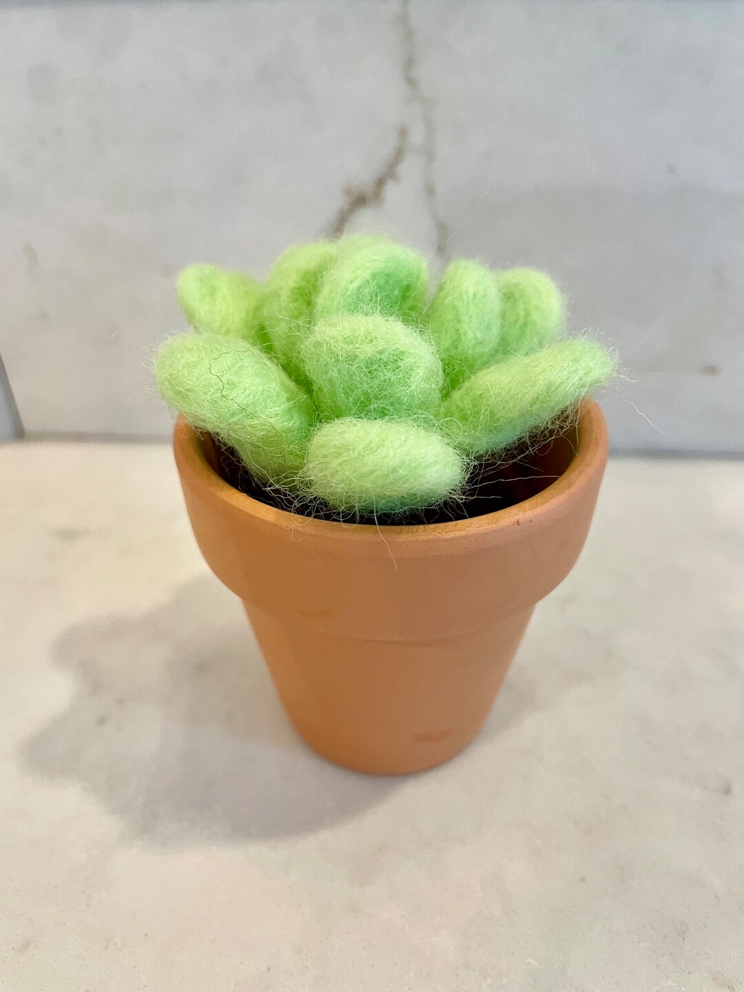 Felted Plant - Etsy