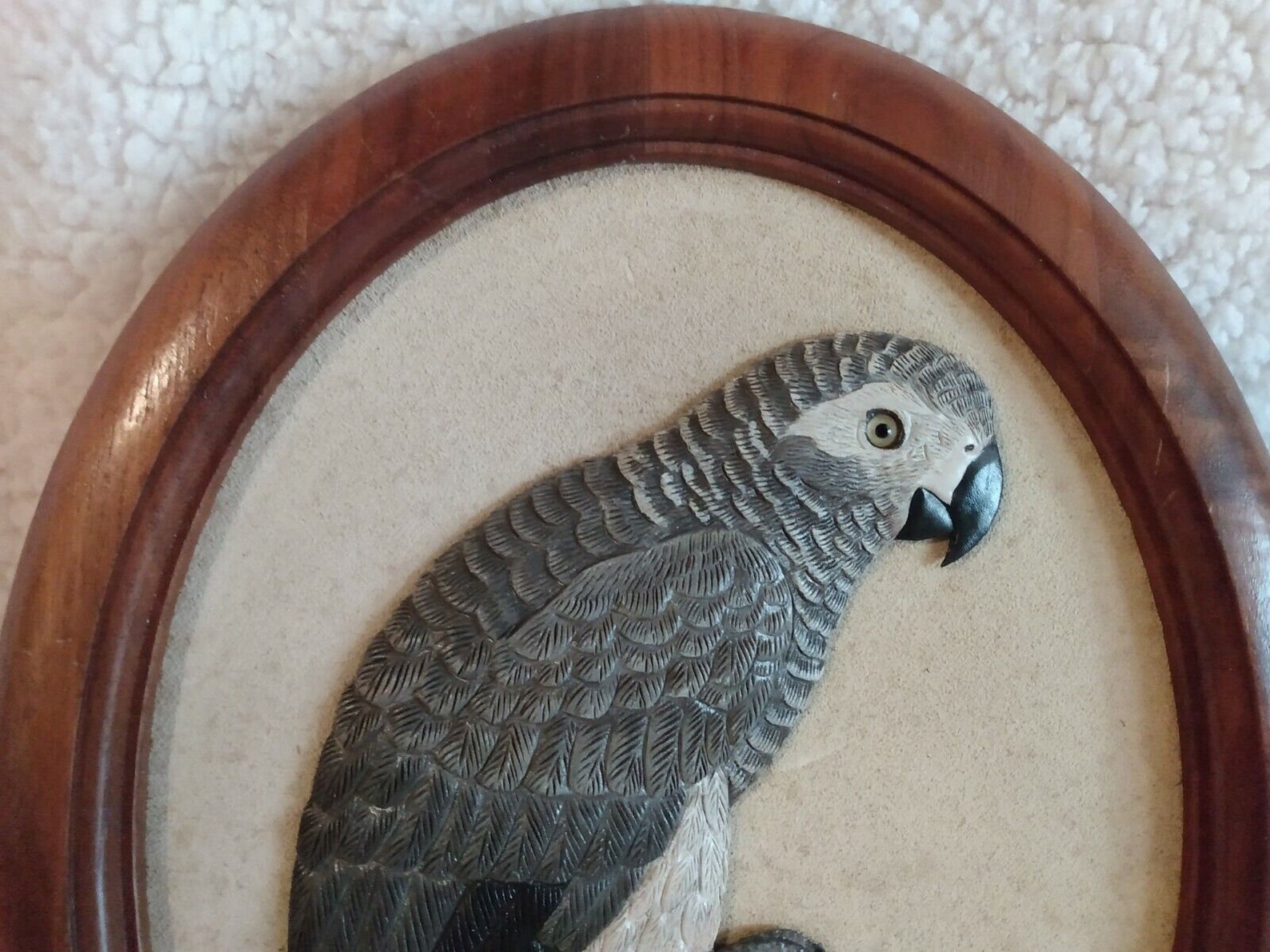 Wildlife Carvings in Leather Parrot by Thomas & Mary Felsburg Framed ...