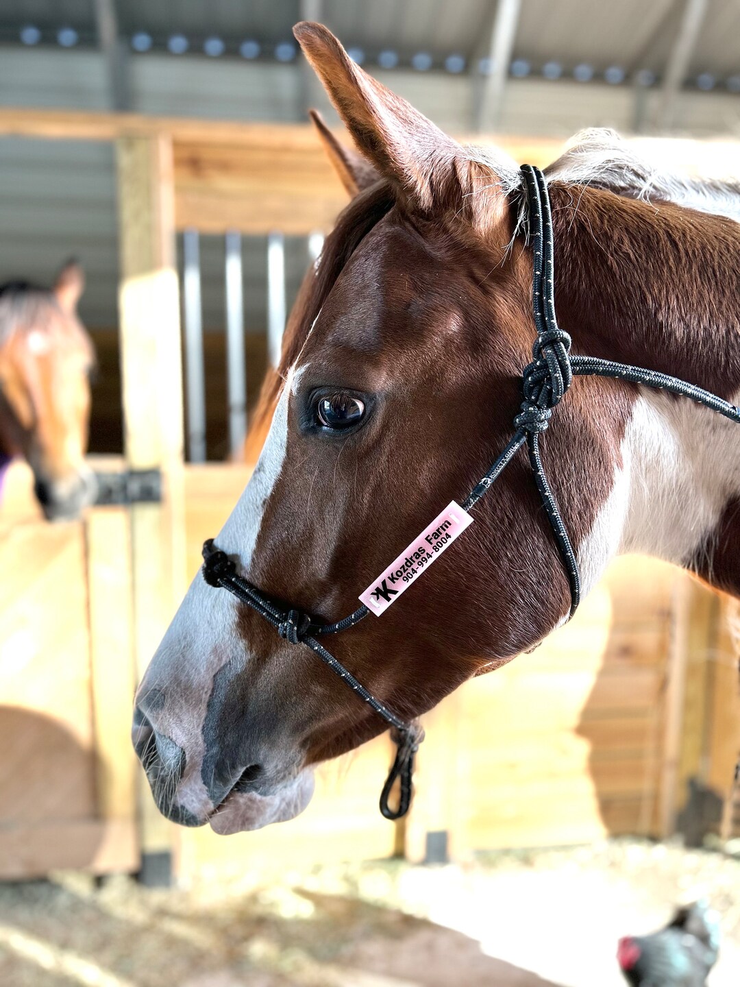 Rope Halter Name Plate - Etsy Canada