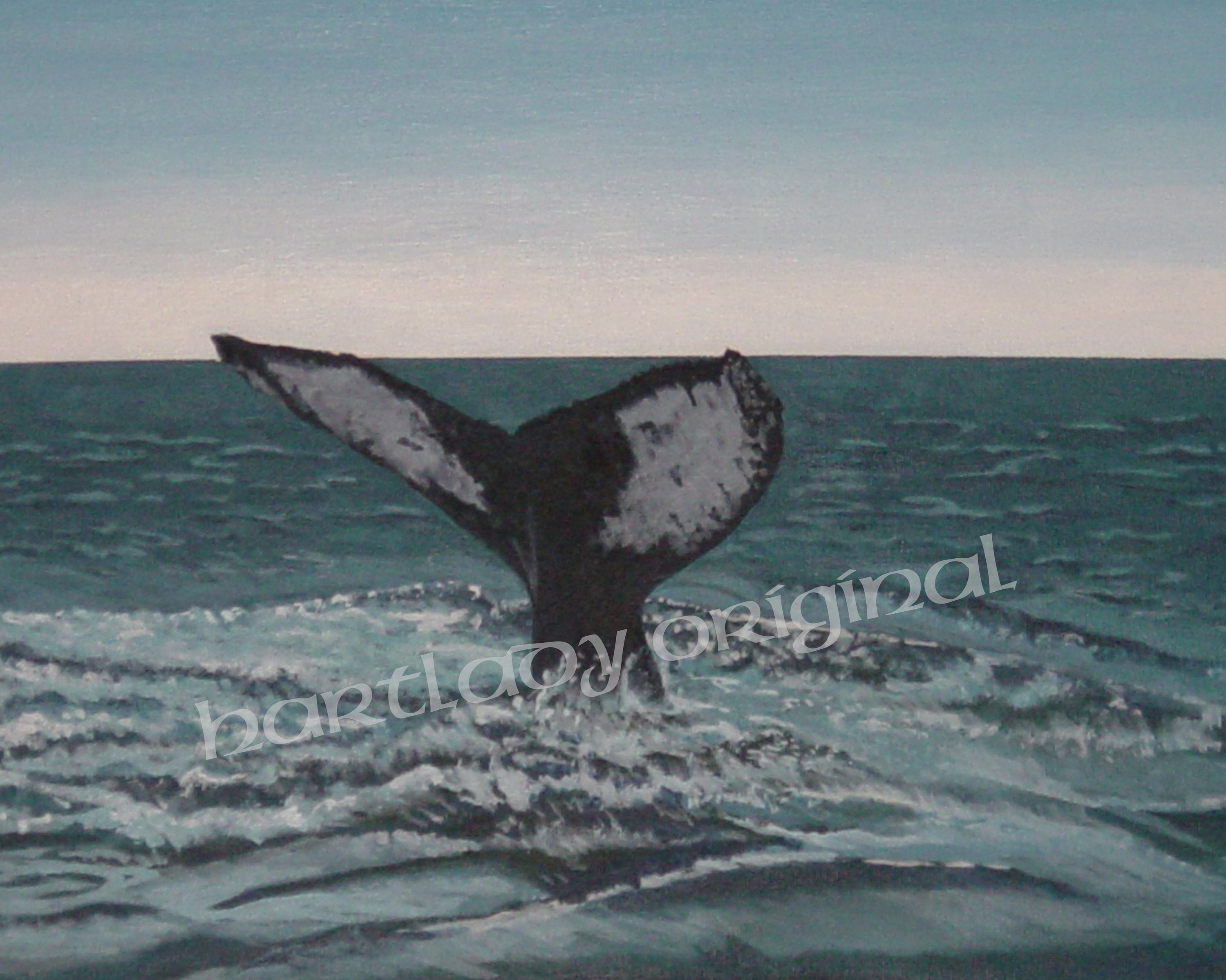 Ocean Whale Fin - Etsy