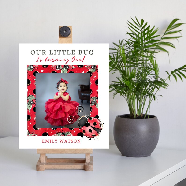 Ladybug Photo Birthday Welcome Sign Ladybug Birthday Banner - Etsy