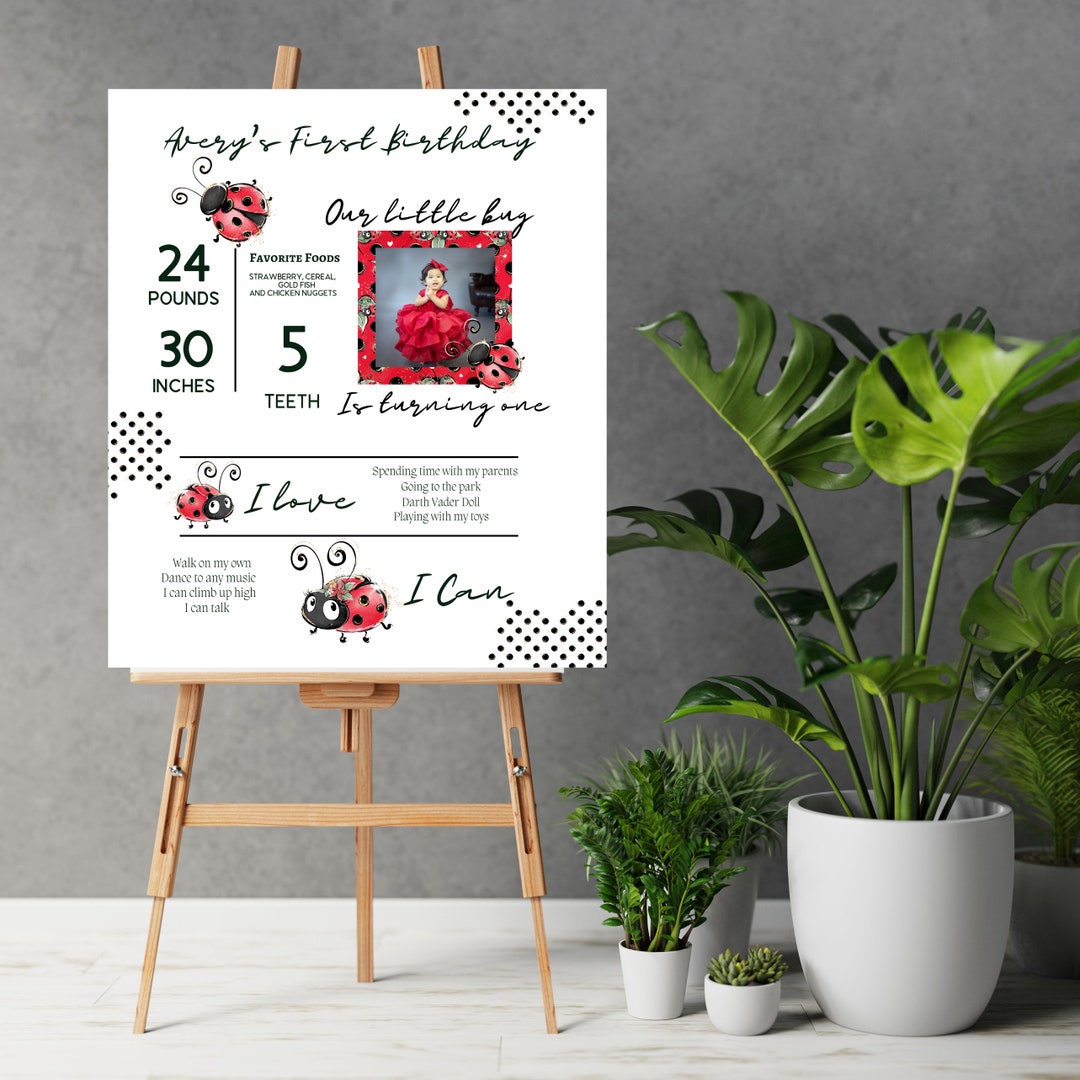 Ladybug Photo Birthday Milestone Sign, Ladybug Birthday Banner, Lady ...