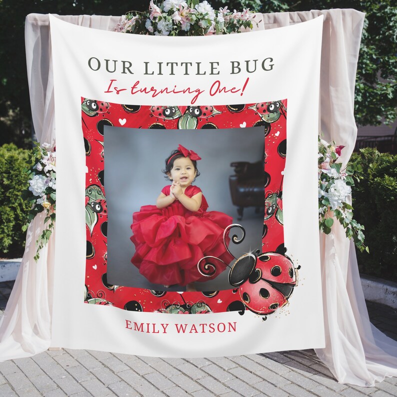 Ladybug Photo Birthday Welcome Sign Ladybug Birthday Banner - Etsy