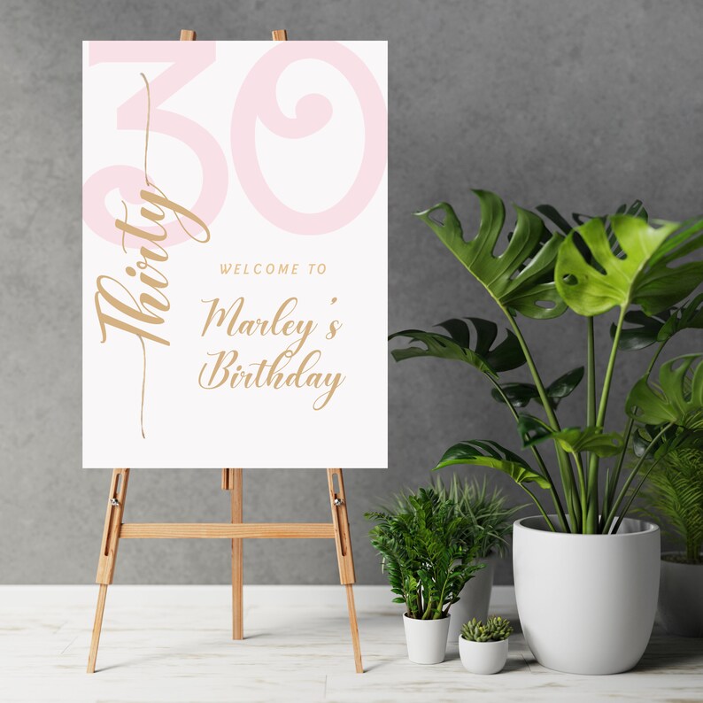 Pink Birthday Welcome Sign Template, Editable Any Age Ladies, Birthday ...