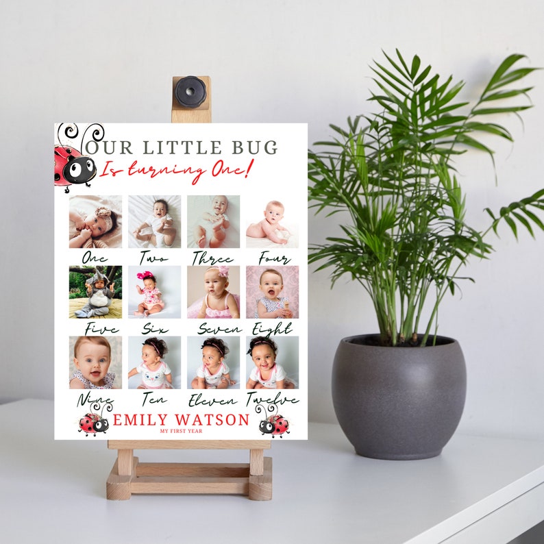 Ladybug First Birthday Photo Sign Banner, 1st Birthday Photo Poster ...