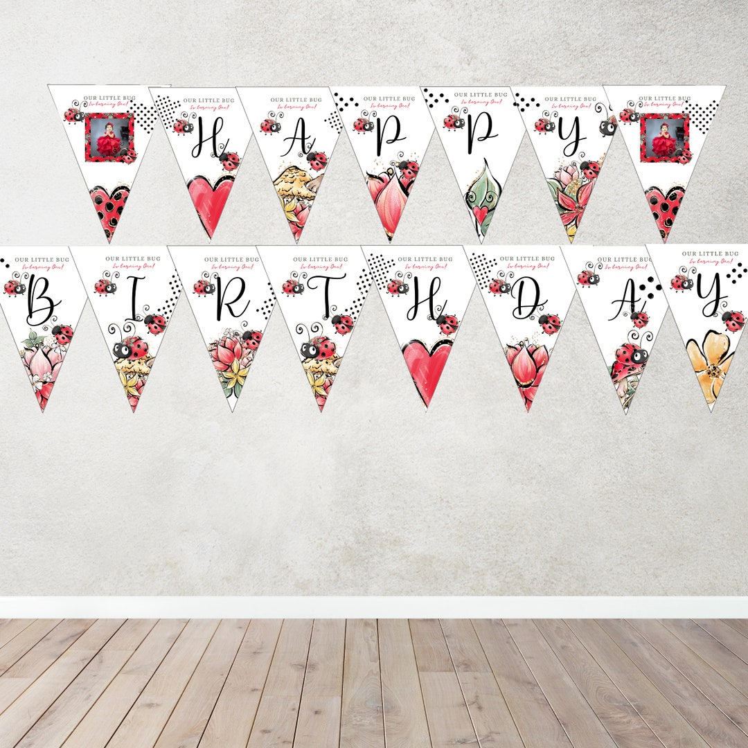 Ladybug Photo Birthday Triangle Banner, Lady Bug Birthday Bunting ...
