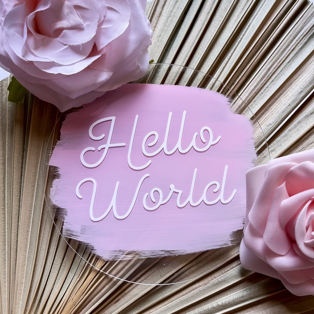 Baby Monthly Milestone Disc Set (hello World), Girl Baby Shower Gift ...