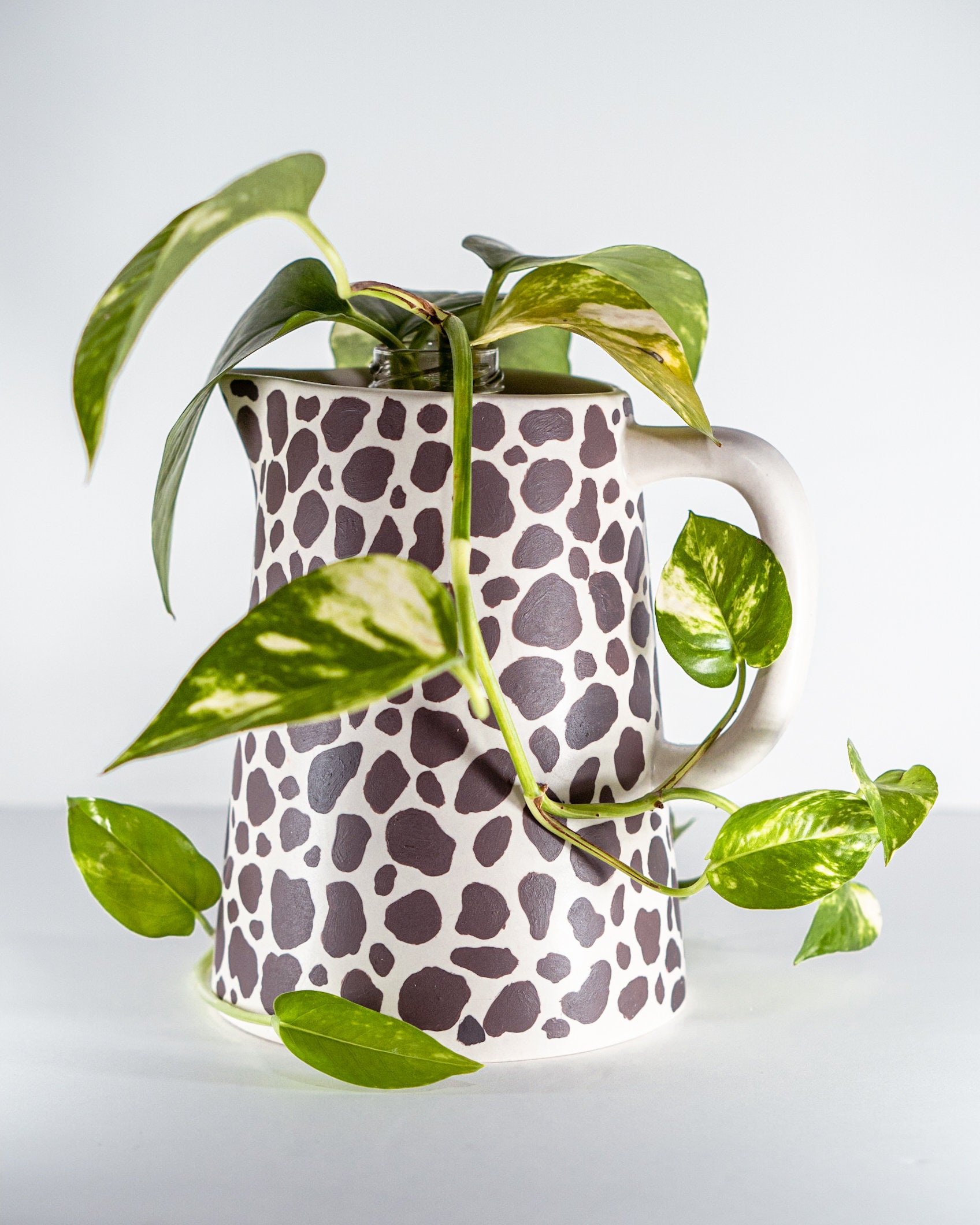 Cow Print Pitcher - Etsy