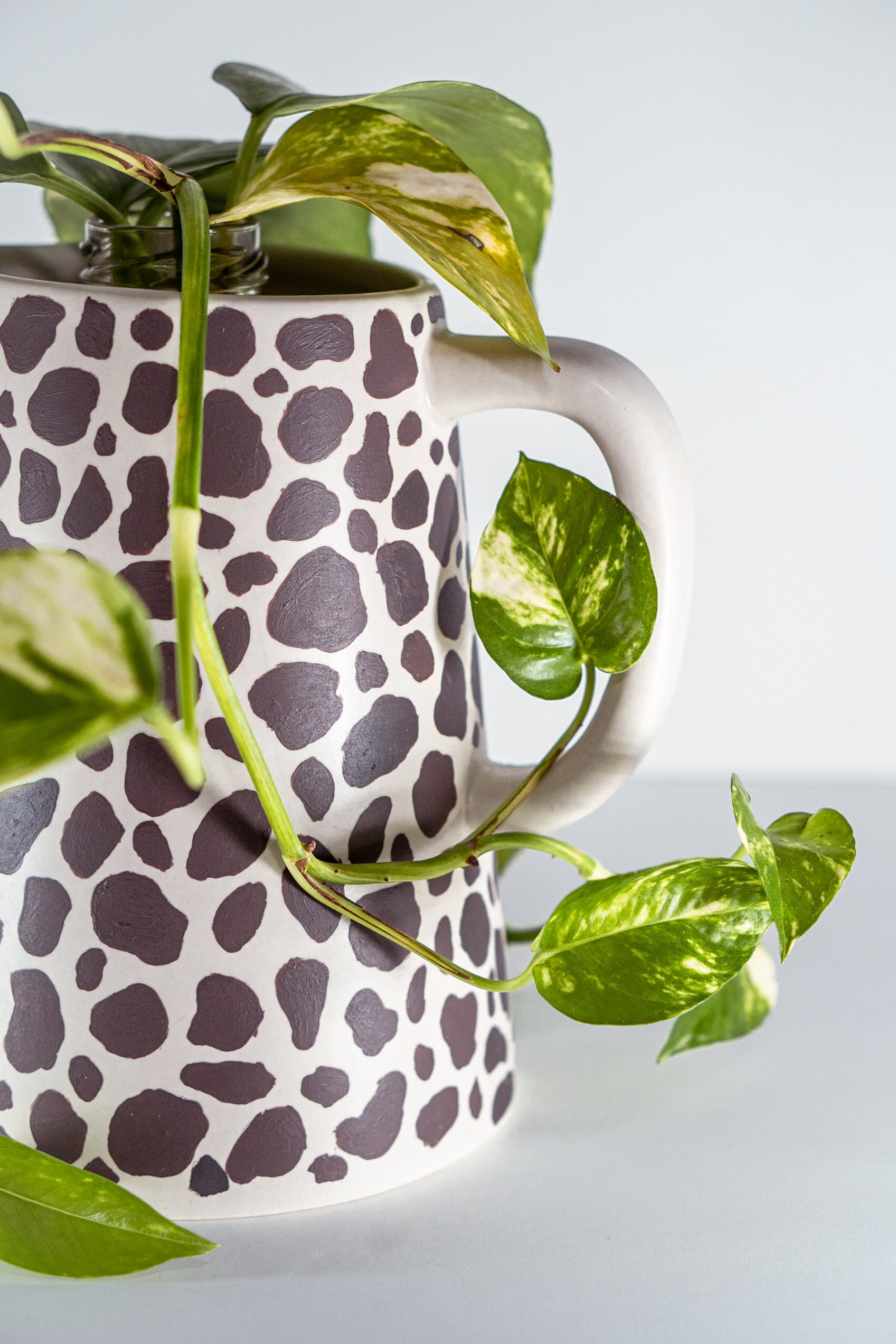 Cow Print Pitcher - Etsy