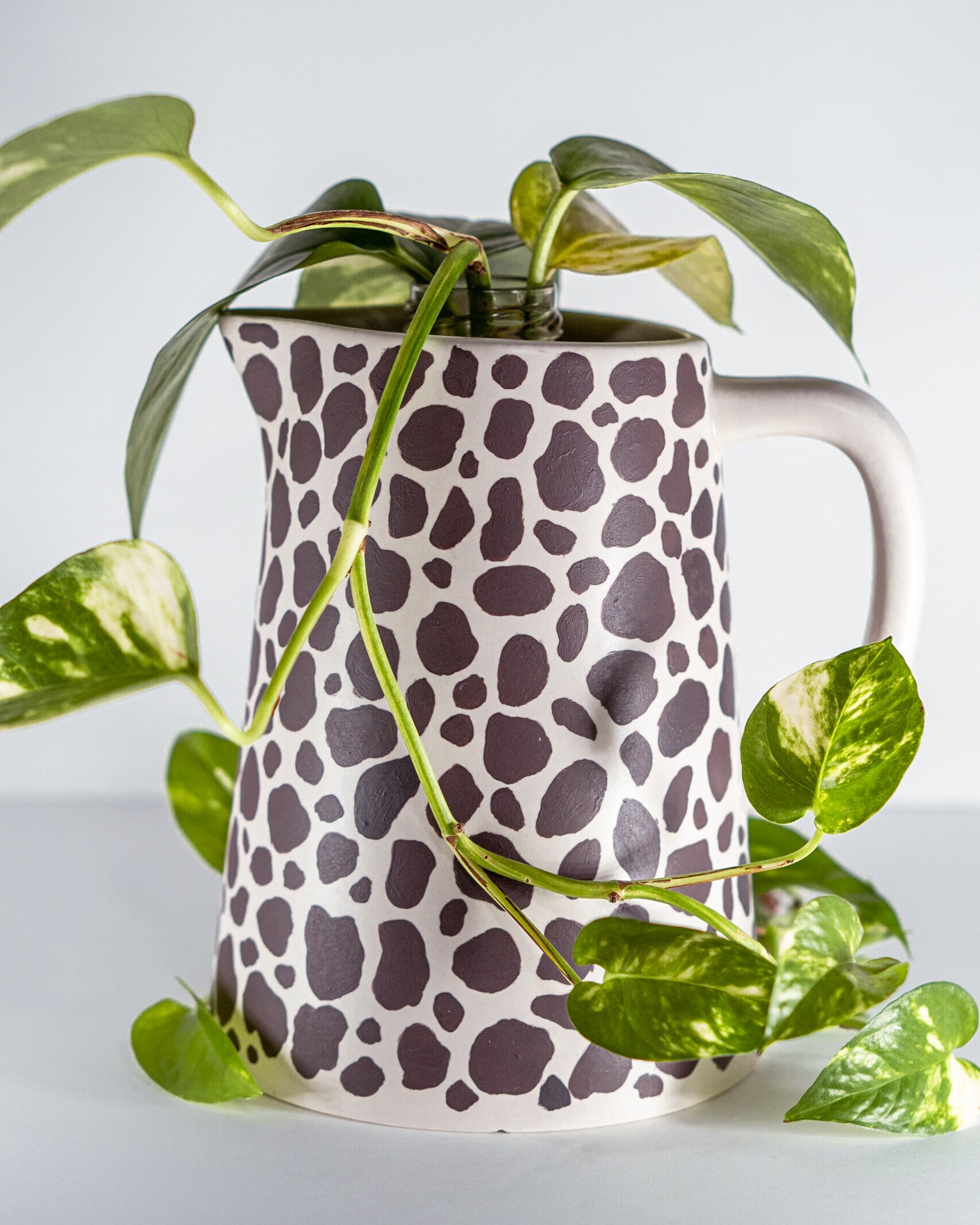 Cow Print Pitcher - Etsy