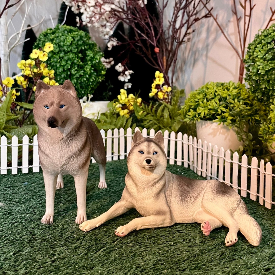 1/6 Scale Dog Siberian Husky Realistic Pet for 12 Inch Fashion Dolls ...