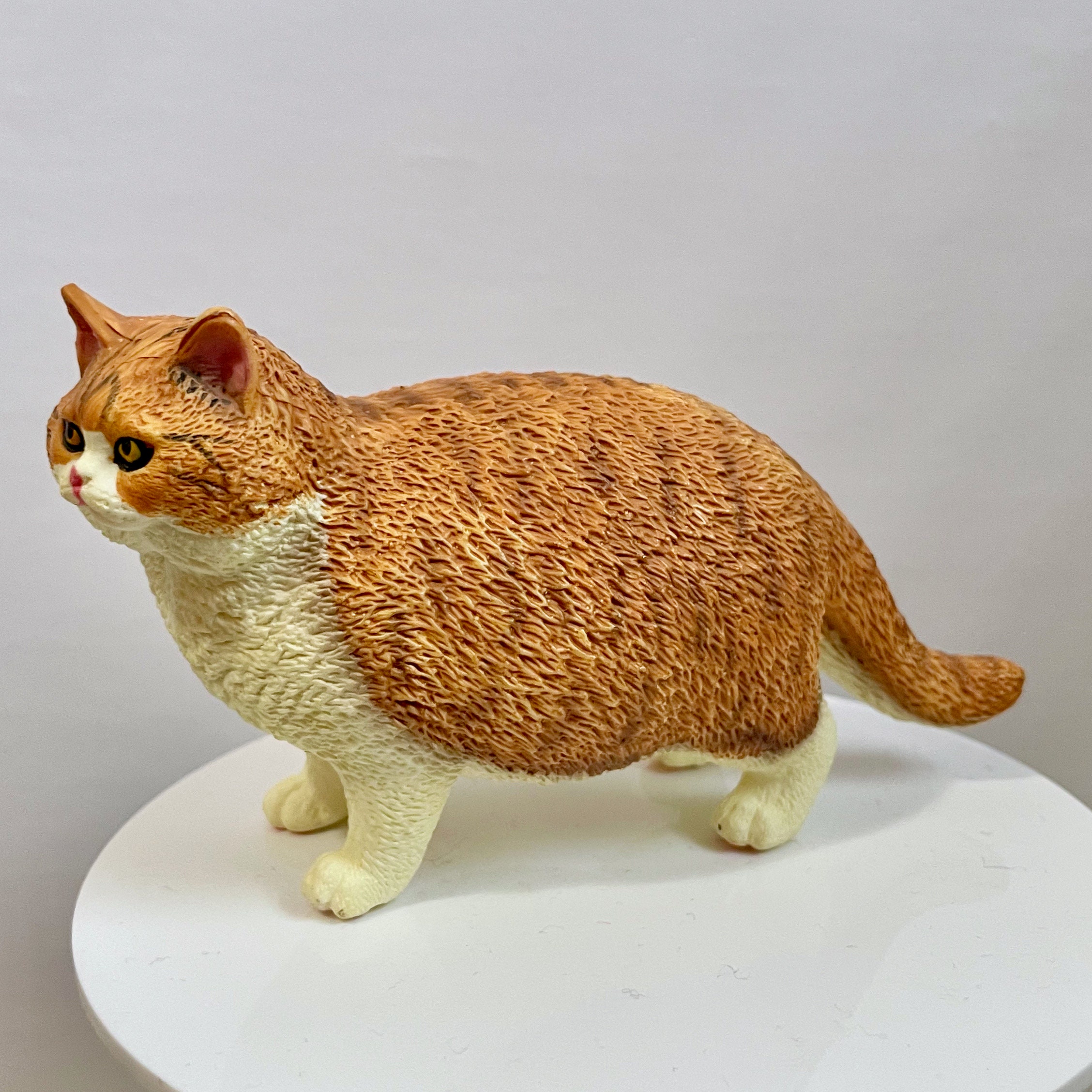 1:6 Scale Fat Fluffy Cat for Fashion Doll or Action Figure Dioramas ...