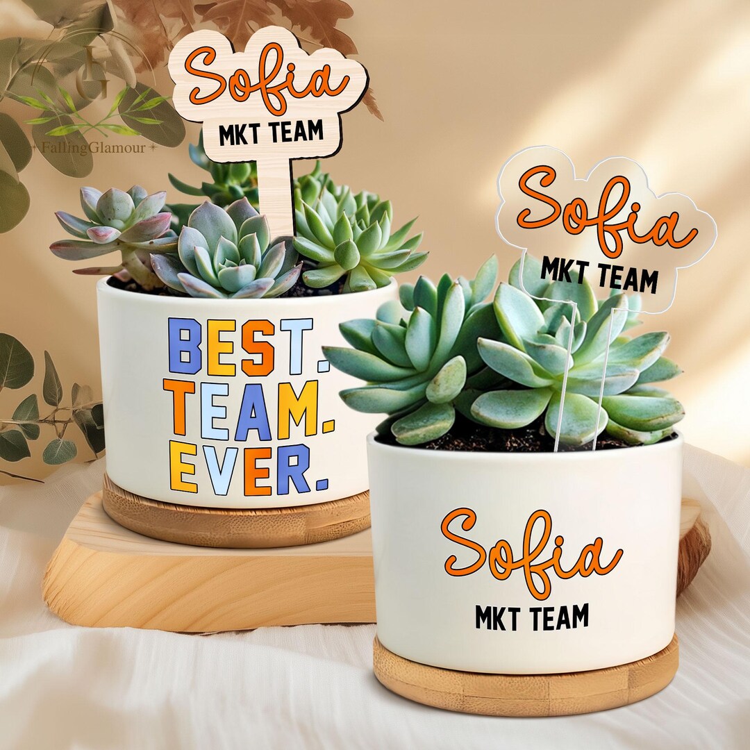 Best Team Ever, Coworker Appreciation Plant Pot, Team Gifts, Team Thank ...