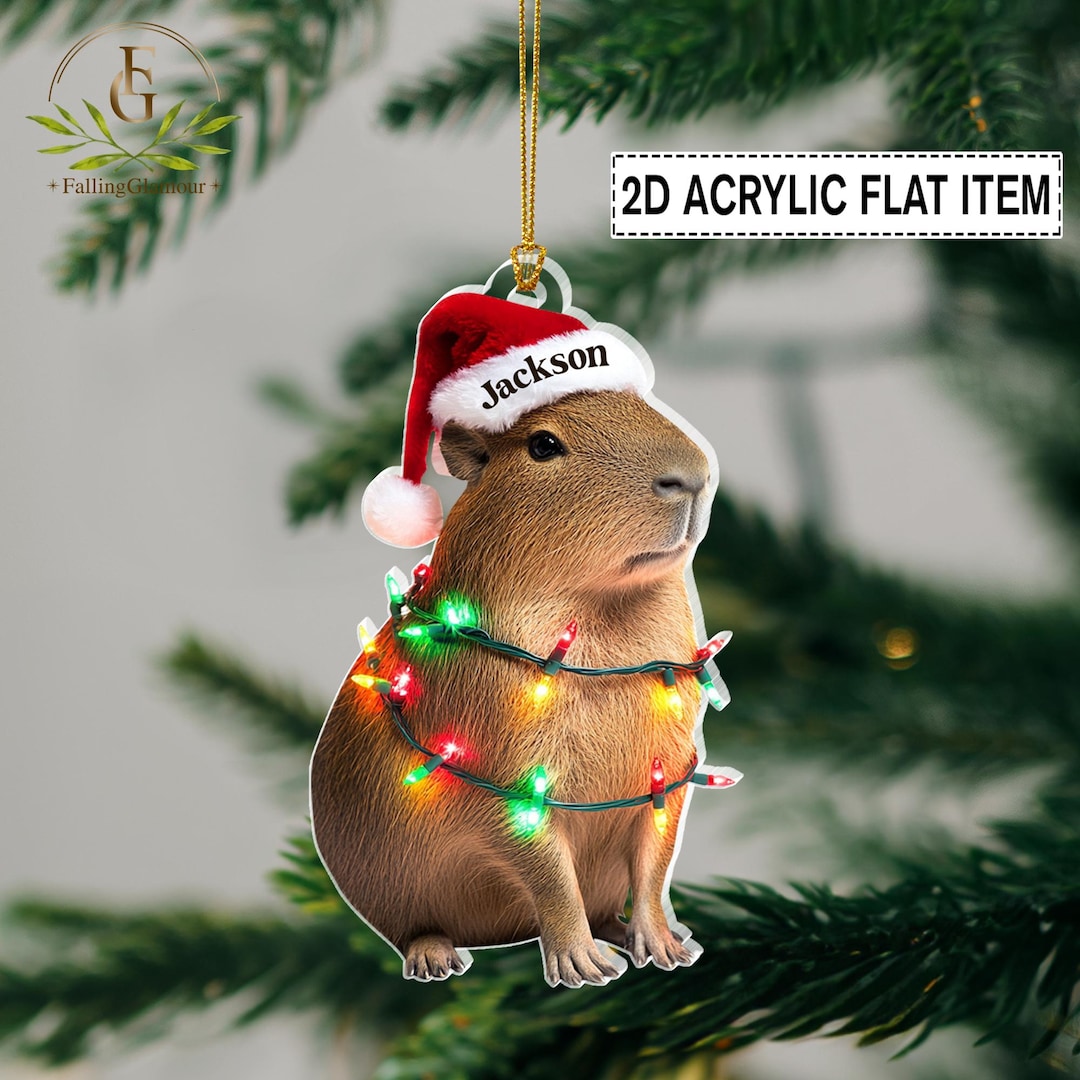 Personalized Capybara Acrylic Ornament, 2D Acrylic Flat Ornament Not 3D ...