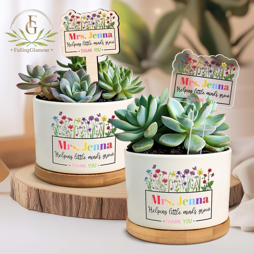 Custom Teacher Plant Pot, Teacher Appreciation, Succulent Planter ...
