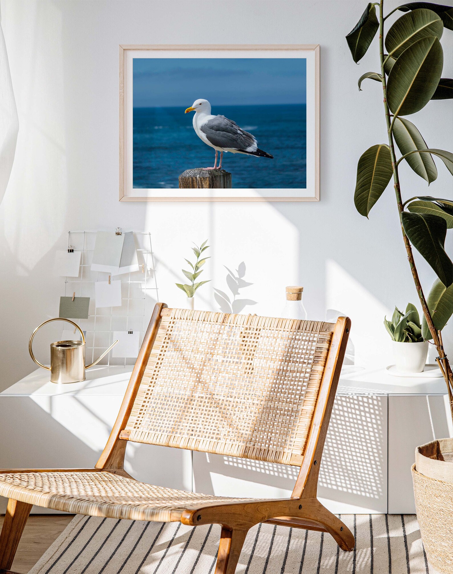 California Seagull Gull Wall Picture high Quality Fine Wall Art Print ...