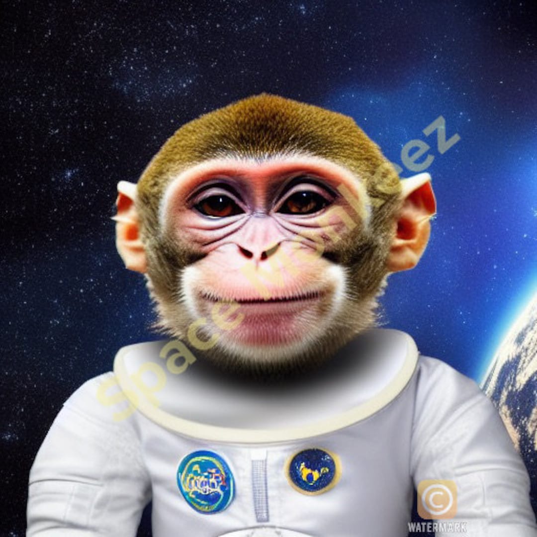 Space Monkey Digital Art Astronaut Franklin - Etsy