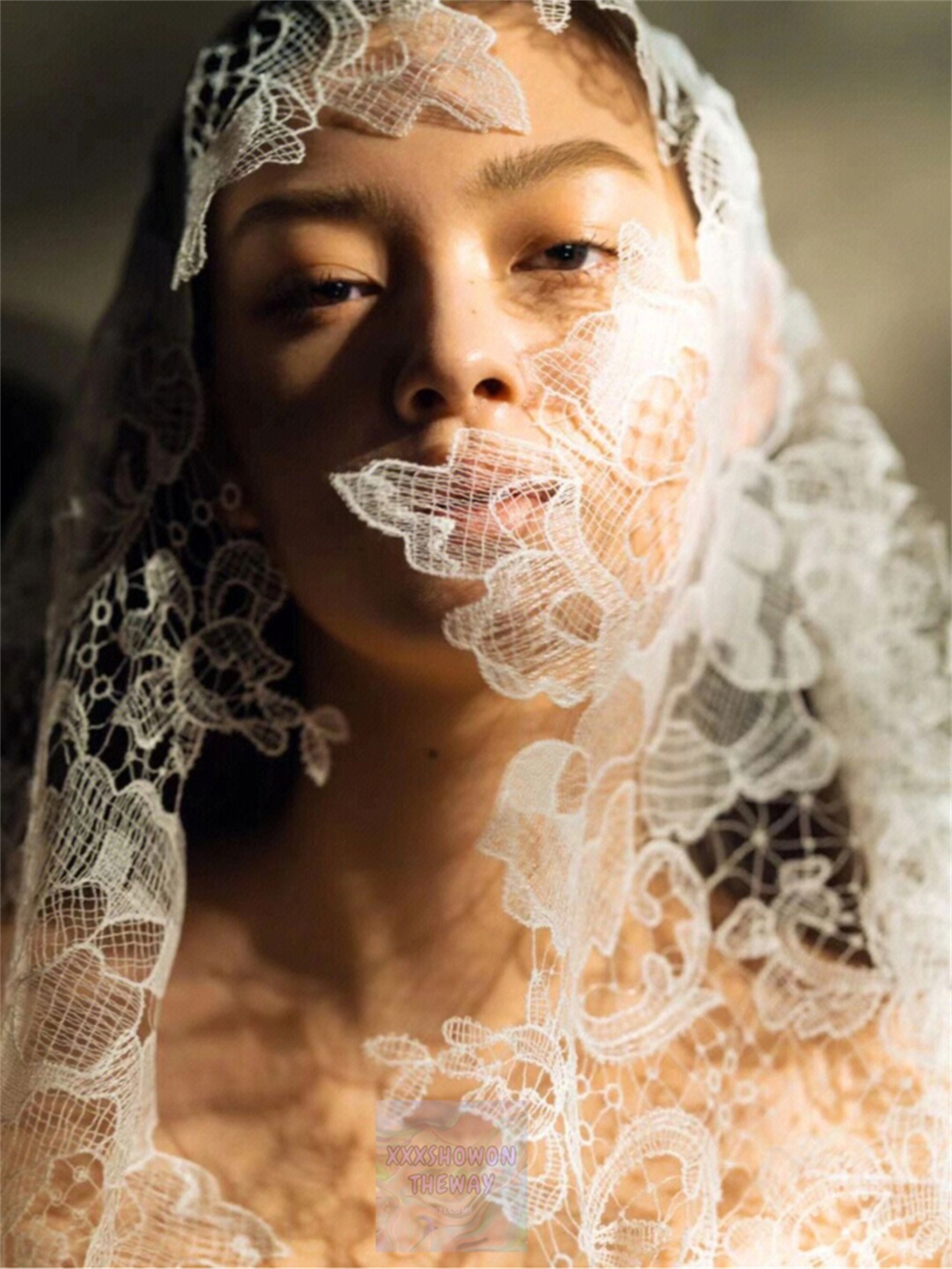 Vintage Full Lace Cover Mid-length Veil/bridal Veil/super Fairy Makeup ...