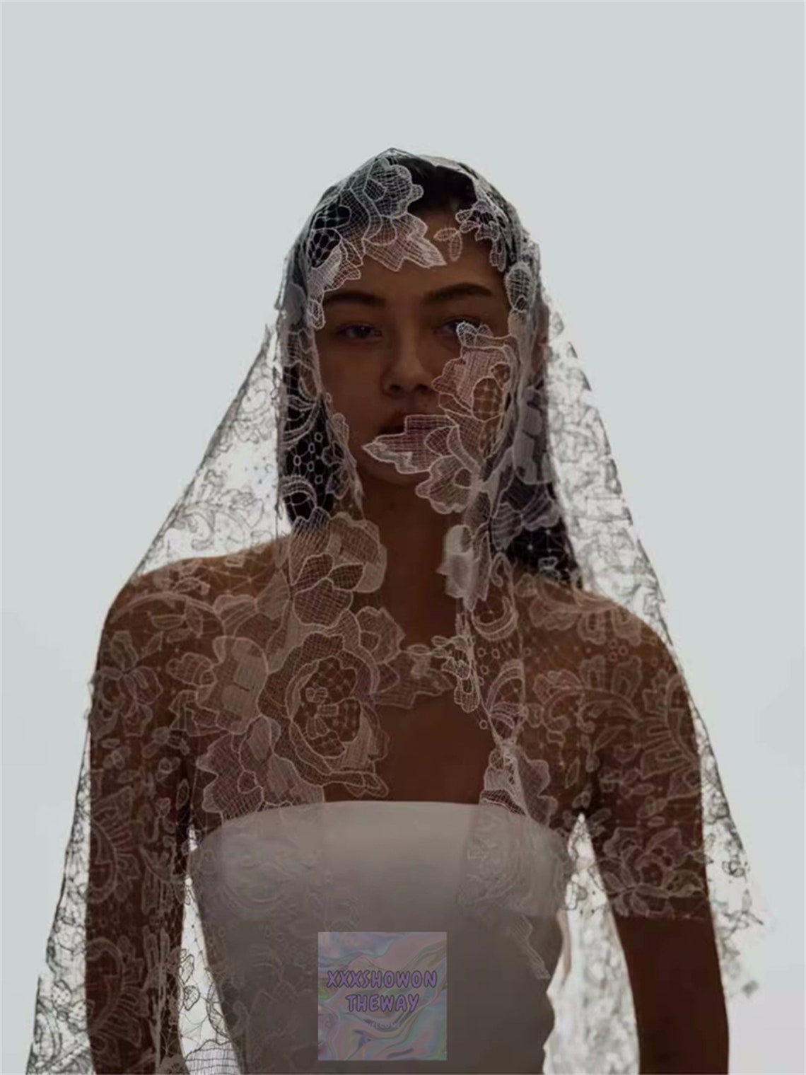 Vintage Full Lace Cover Mid-length Veil/bridal Veil/super Fairy Makeup ...