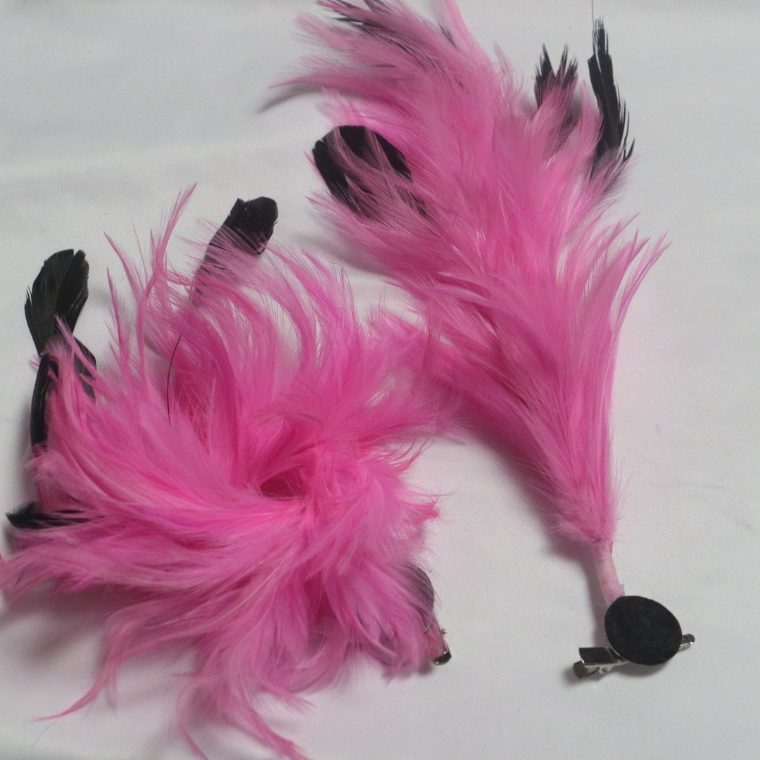 Feather Corsage Brooch Feather Headwear Hair Organizer Character Dress up Diy Clothing Shoes and ...