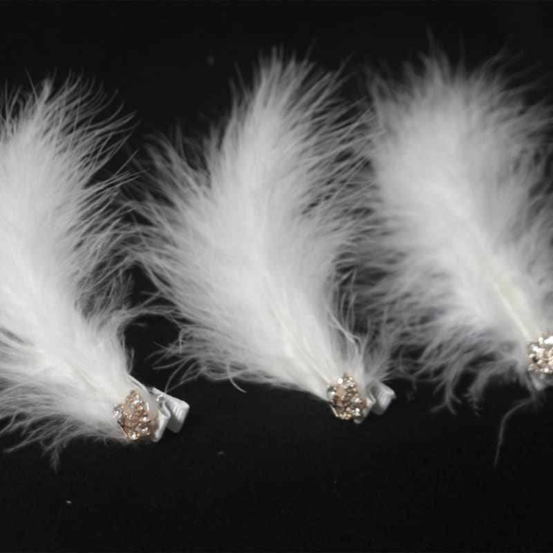 Feather Shoe Clips - Etsy