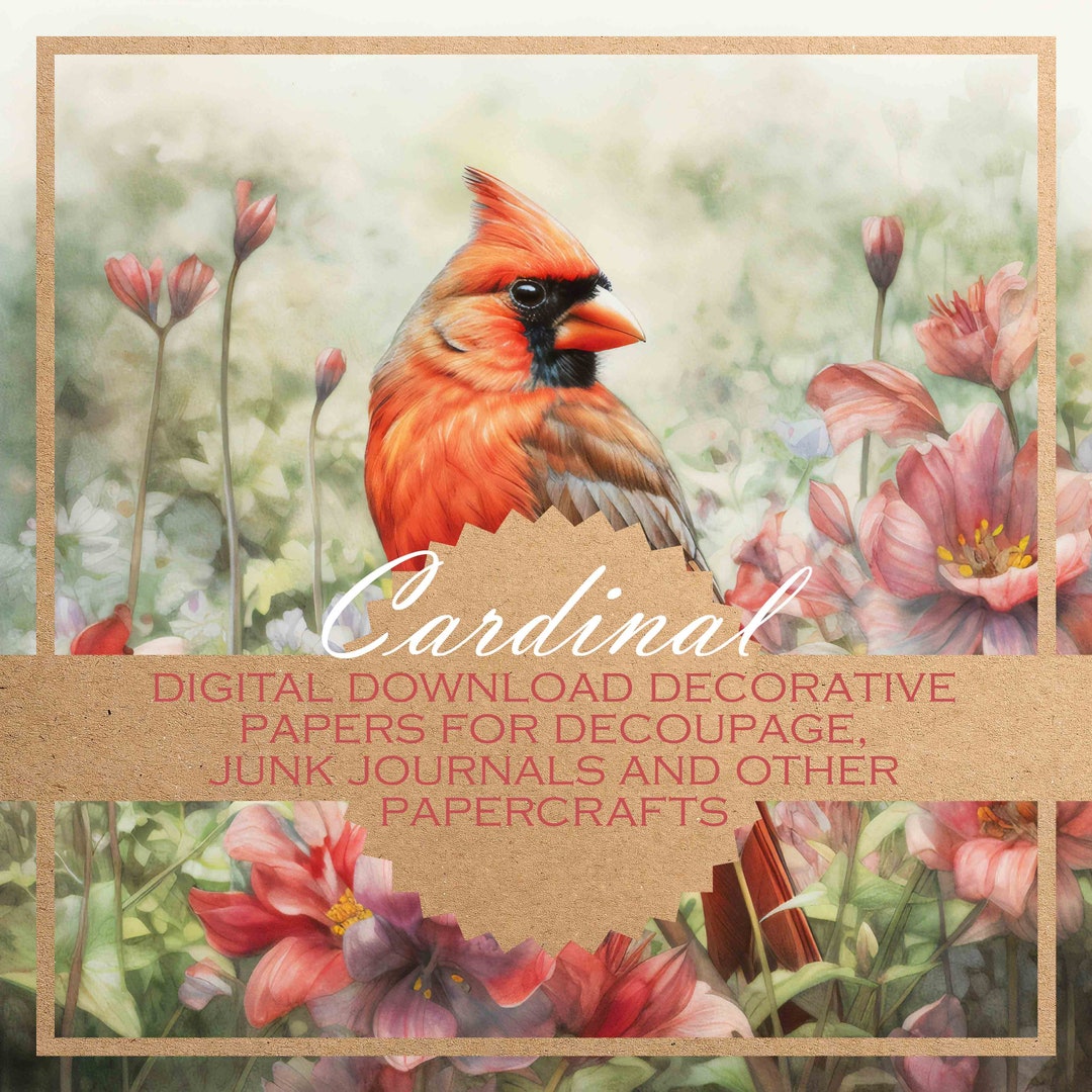 Cardinal: Bird Decoupage/digital PAPERS for Download, Card-making ...