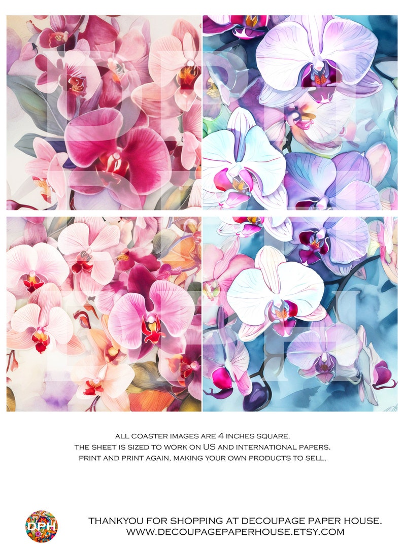 Printable 4x4 Images / ORCHIDS Theme / for - Etsy