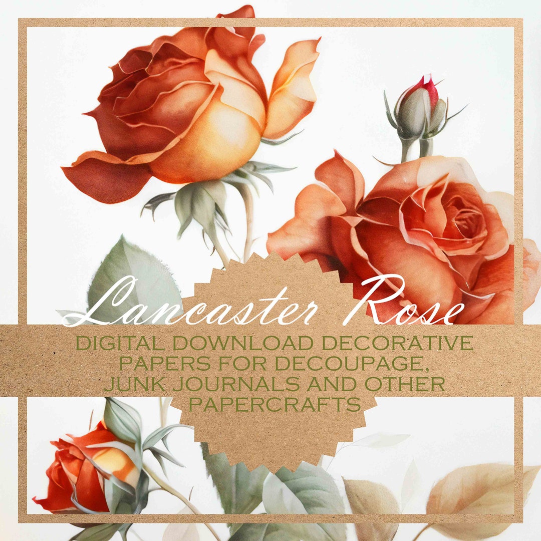 Lancaster Rose: Decoupage Floral Paper/digital PAPERS for Download ...