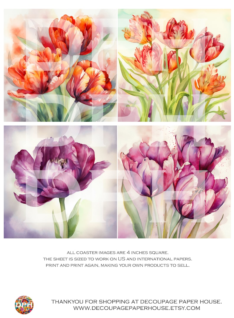 Printable 4x4 Images / TULIPS Theme / for - Etsy