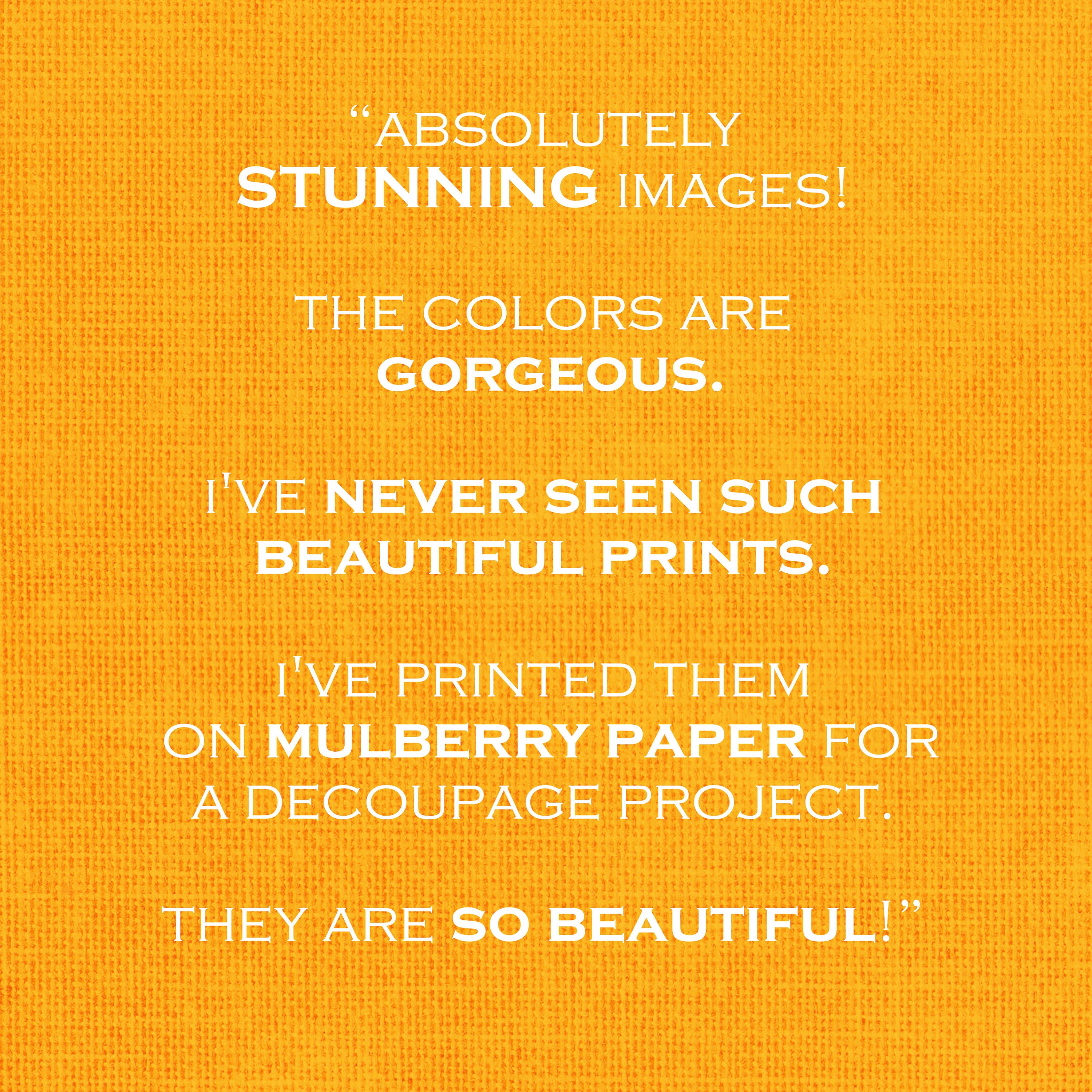 Tiger, Tiger: Decoupage Paper/ Jungle, Elephant, Tiger / 10x Beautiful ...