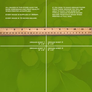 Lost World: Decoupage Paper/ Outrageous Beautiful DIGITAL PAPERS ...