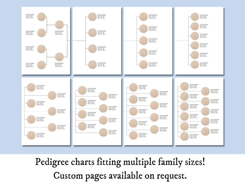 Family Tree Template A4 & Letter Size Genealogy Family - Etsy Australia
