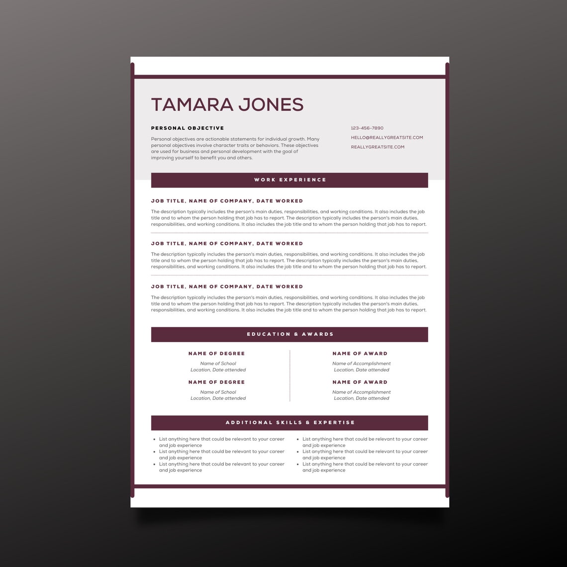 Editable Resume Template on Canva Icons Modern CV Template Professional ...