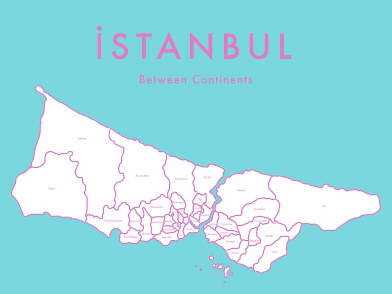 Istanbul District Map Poster Bosphorus - Etsy
