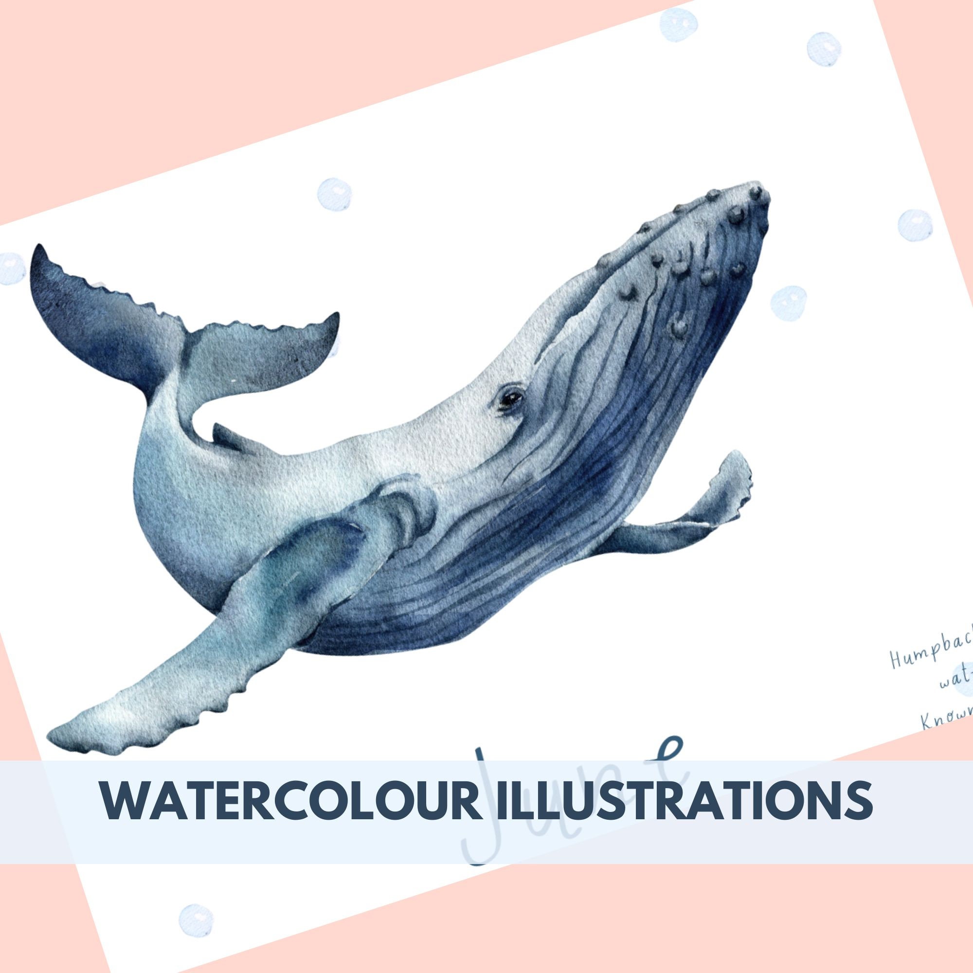 2024 Linear Calendar, Printable, Montessori Calendar, Watercolour ...