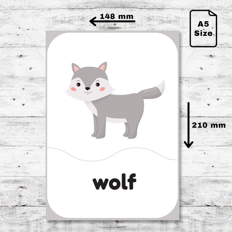 Animal Flash Cards for Children - Montessori Animal Flash Cards ...