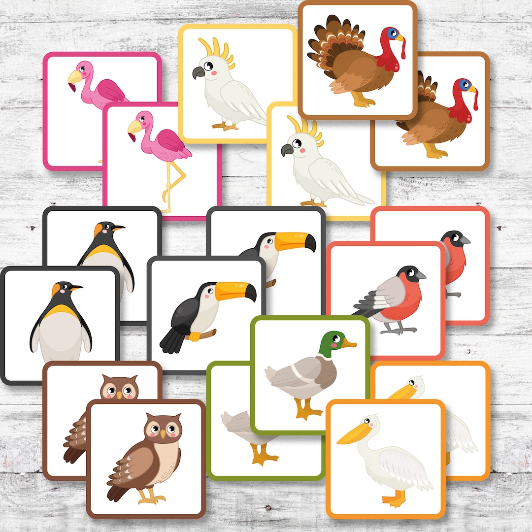 Memory Game Printable Flashcards, Educational Activity Toy, Homeschool ...