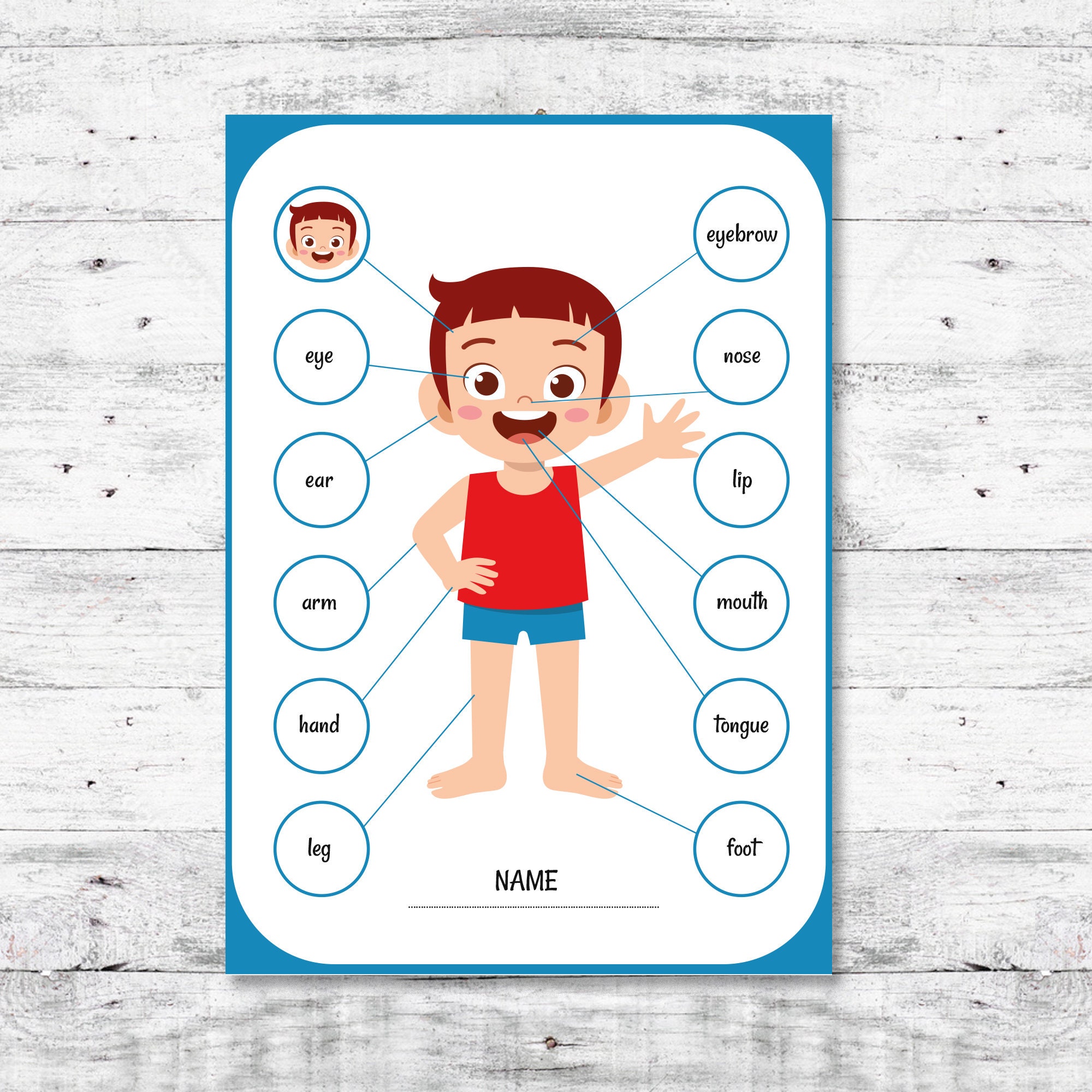 12 Body Parts Matching Activity Printable A4 Flashcards, Body Parts ...