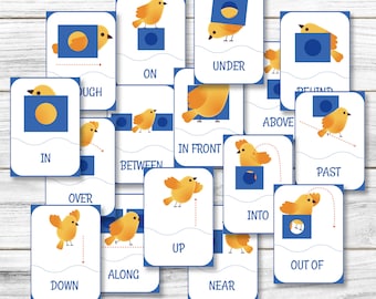 Preposition Owl Flashcards, Montessori Printable Activity, Positional ...