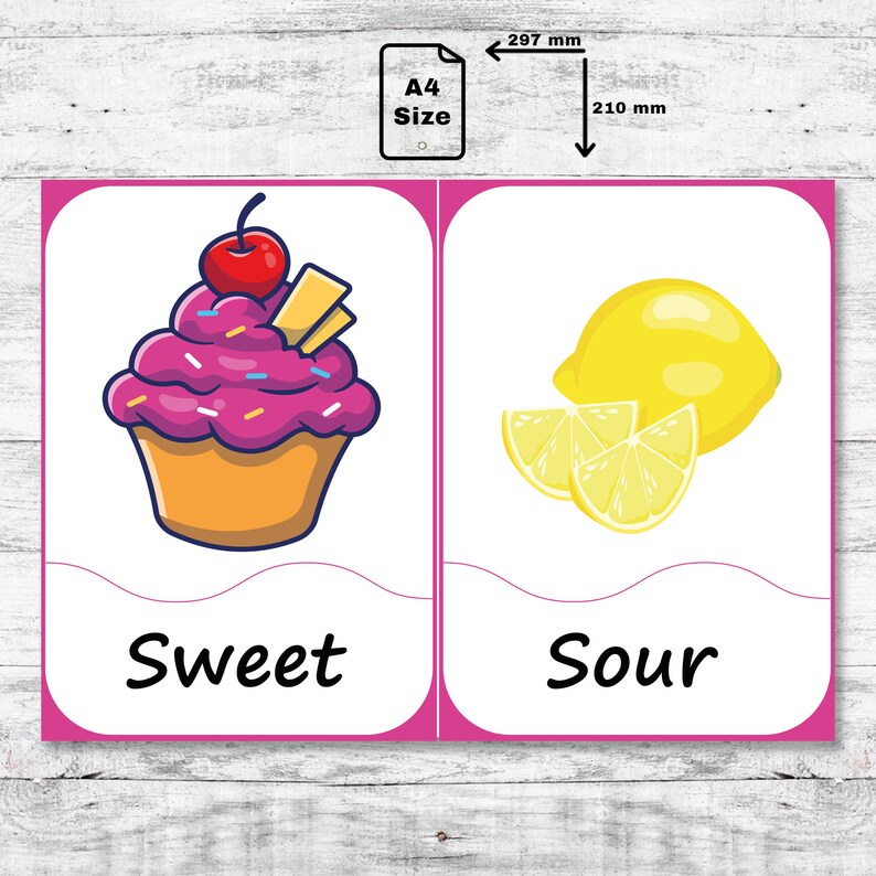 12 PDF A4 Digital Printable Opposites Matching Flash Cards, Printable ...