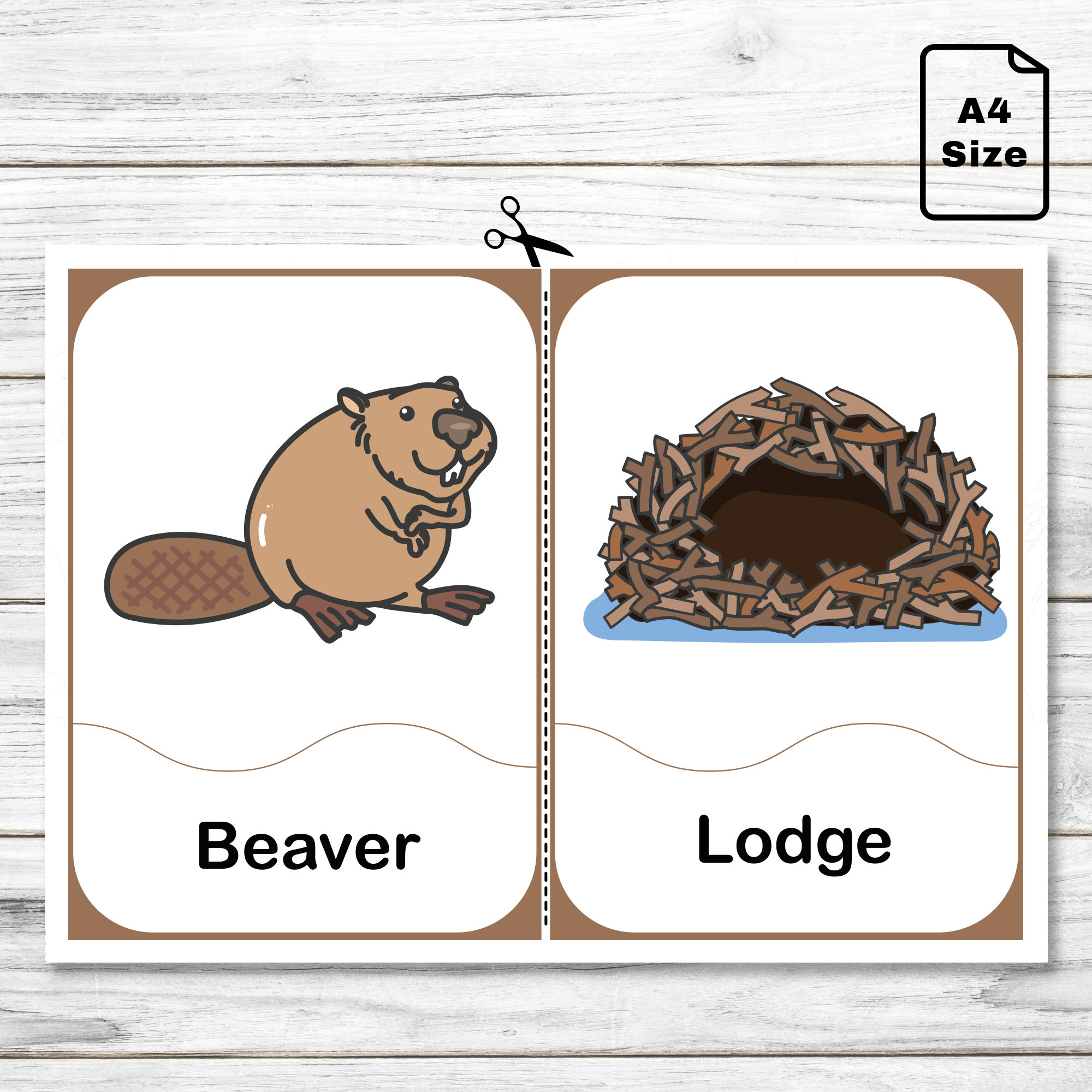 Animals and Their Homes Matching Cards - Printable Animals Flashcards ...