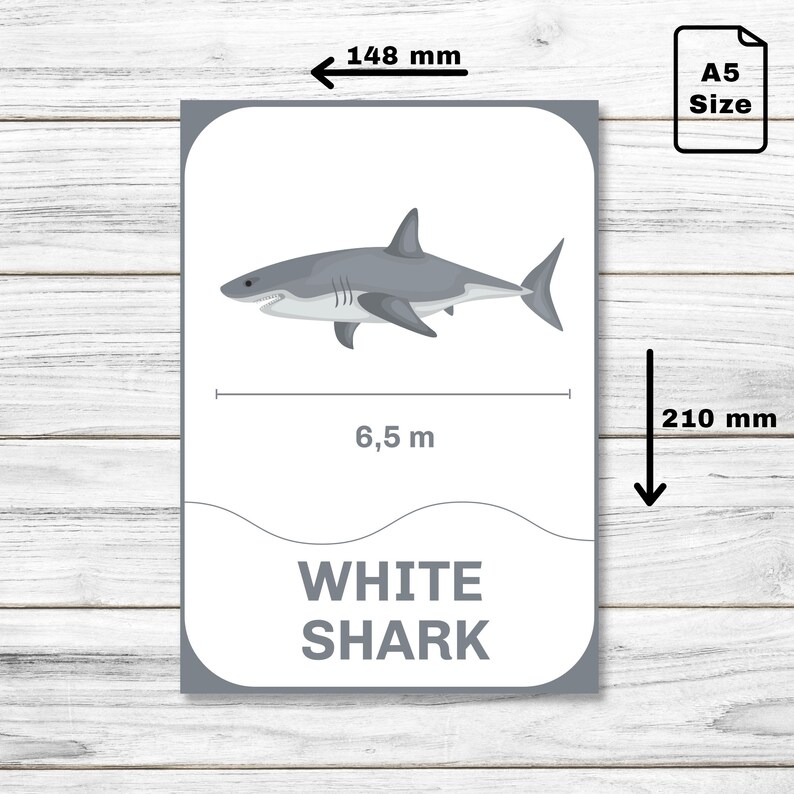 12 Sea Animal Size Flashcards Printable - Under the Sea Flash Cards ...