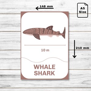 12 Sea Animal Size Flashcards Printable - Under the Sea Flash Cards ...